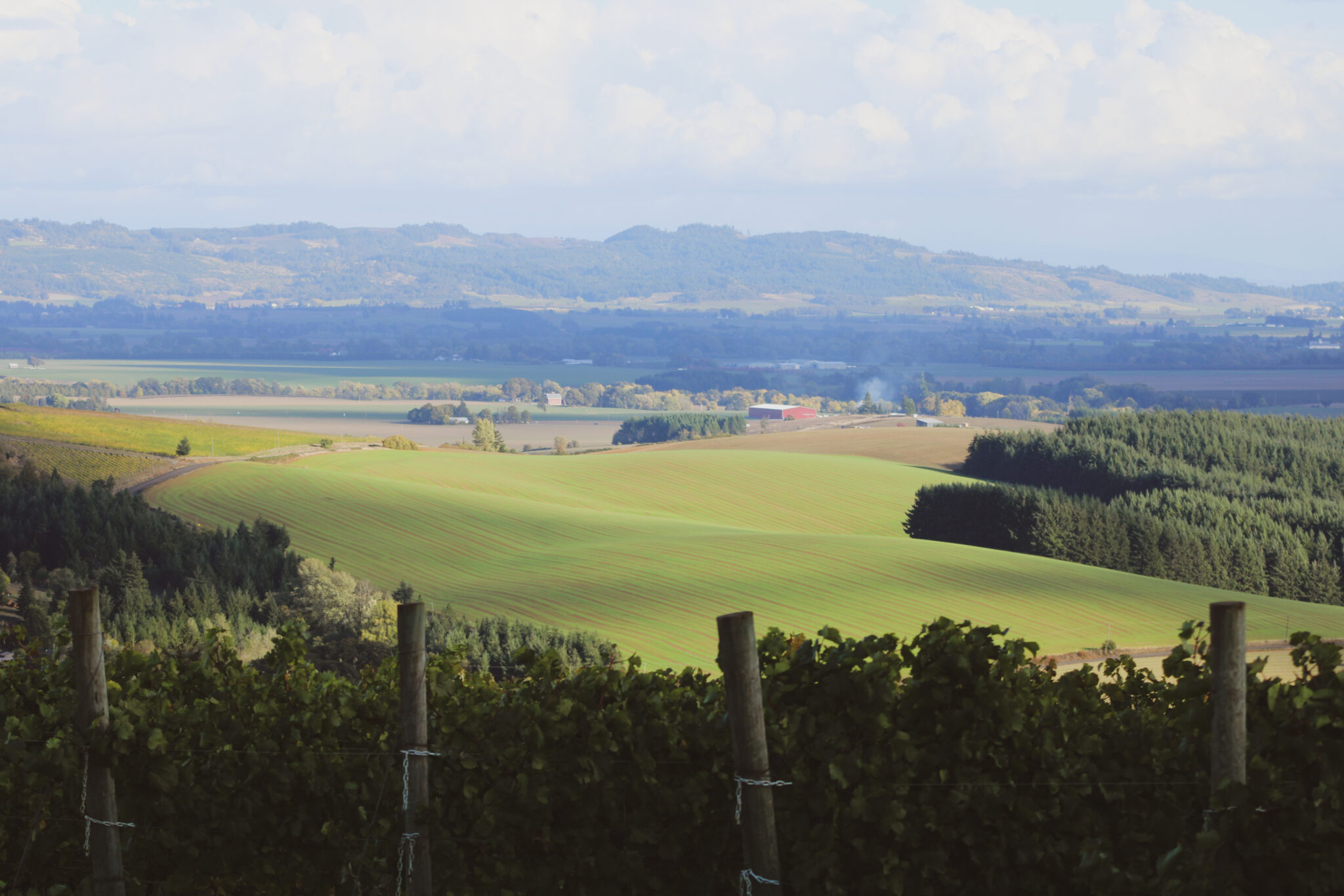 11 Interesting and Beautiful Places to Visit in Salem, Oregon