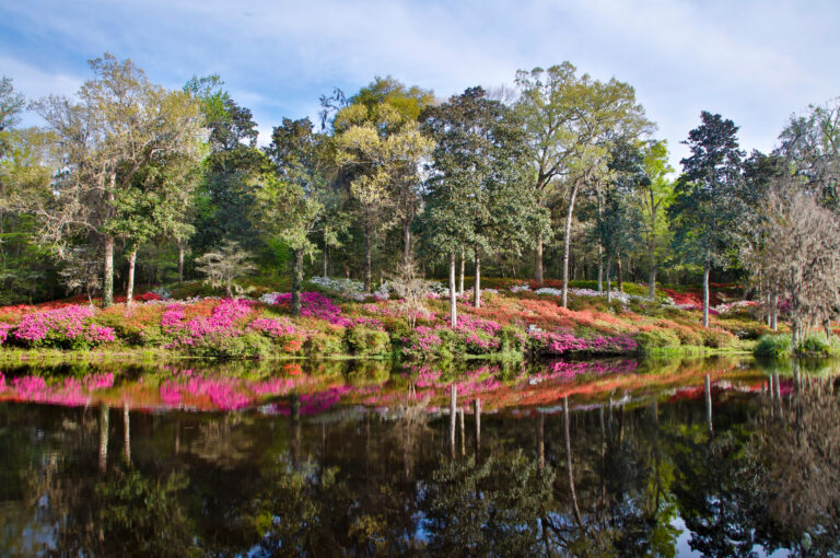 11 Interesting And Beautiful Places to Visit in South Carolina