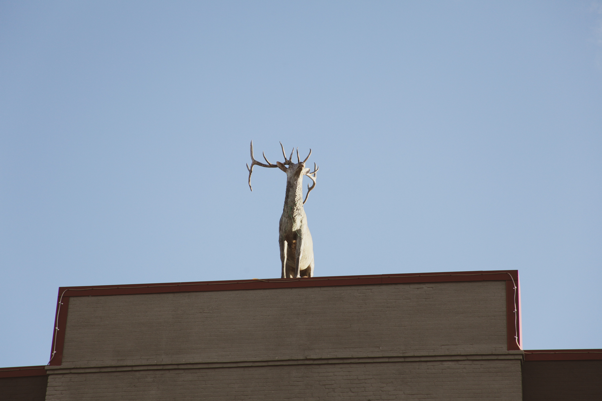 11 Interesting and Beautiful Places to Visit in Prescott, Arizona