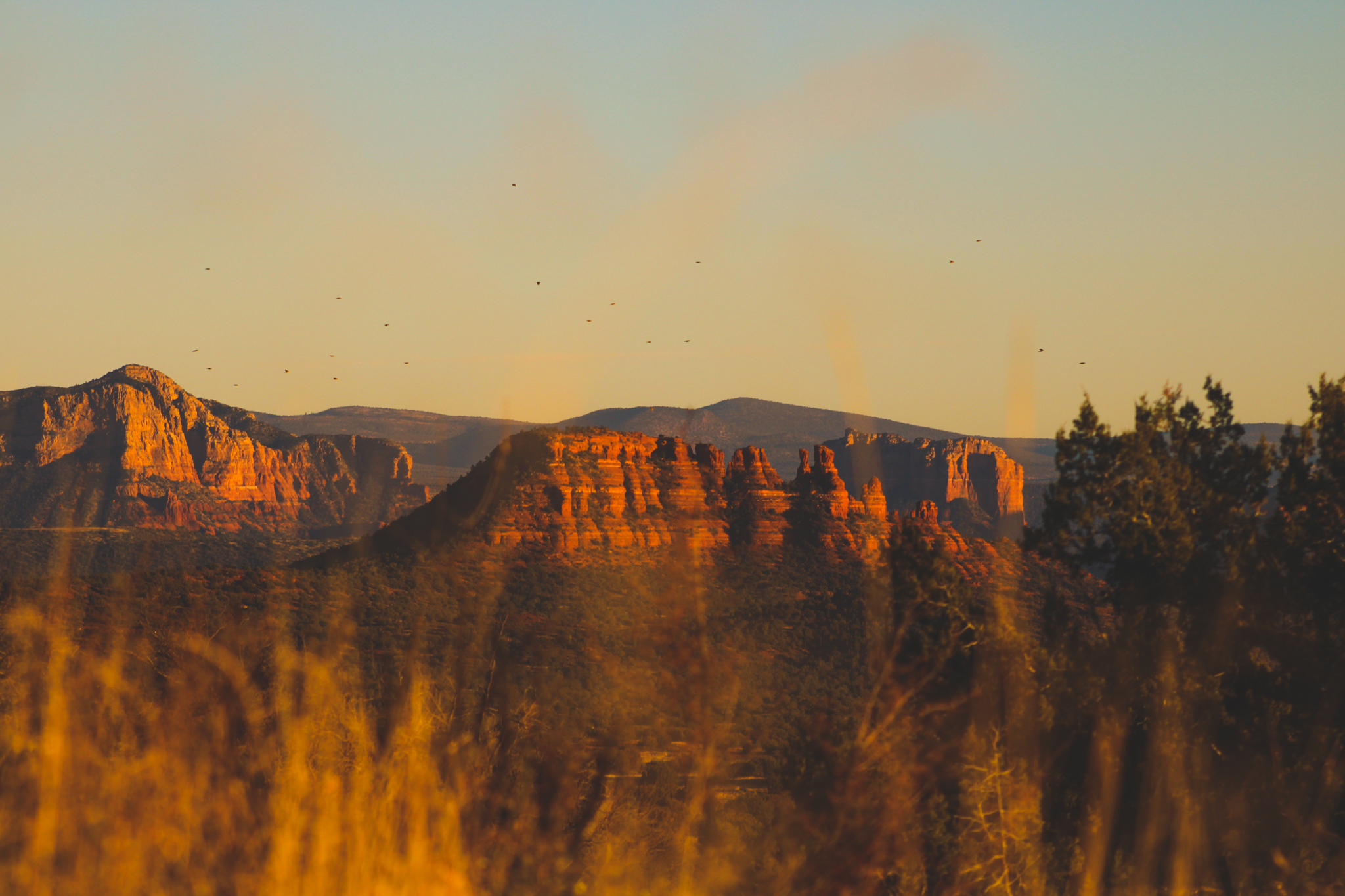 11 Interesting and Beautiful Places to Visit in Prescott, Arizona