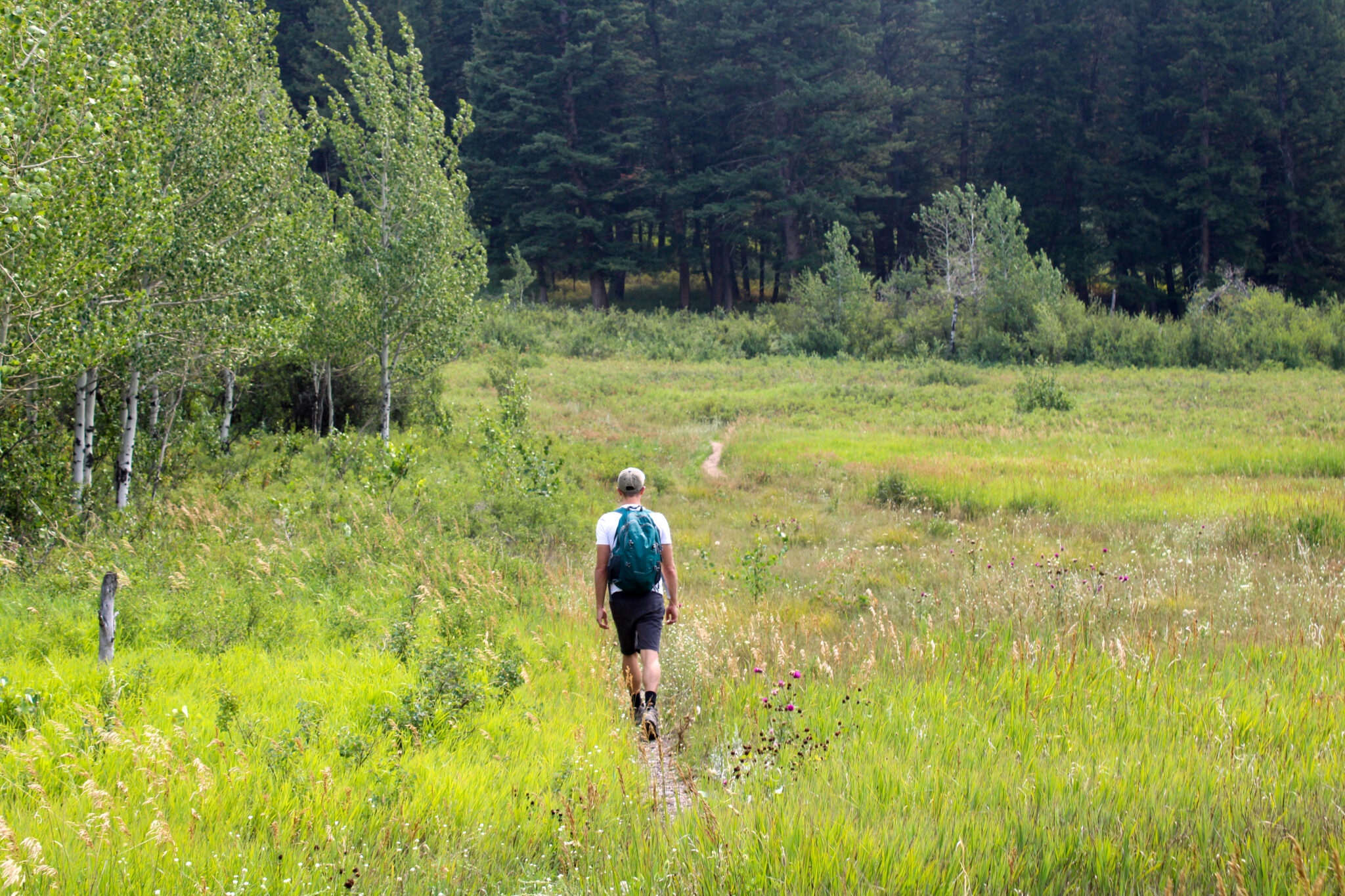 11 Interesting And Beautiful Places To Visit In Livingston, MT